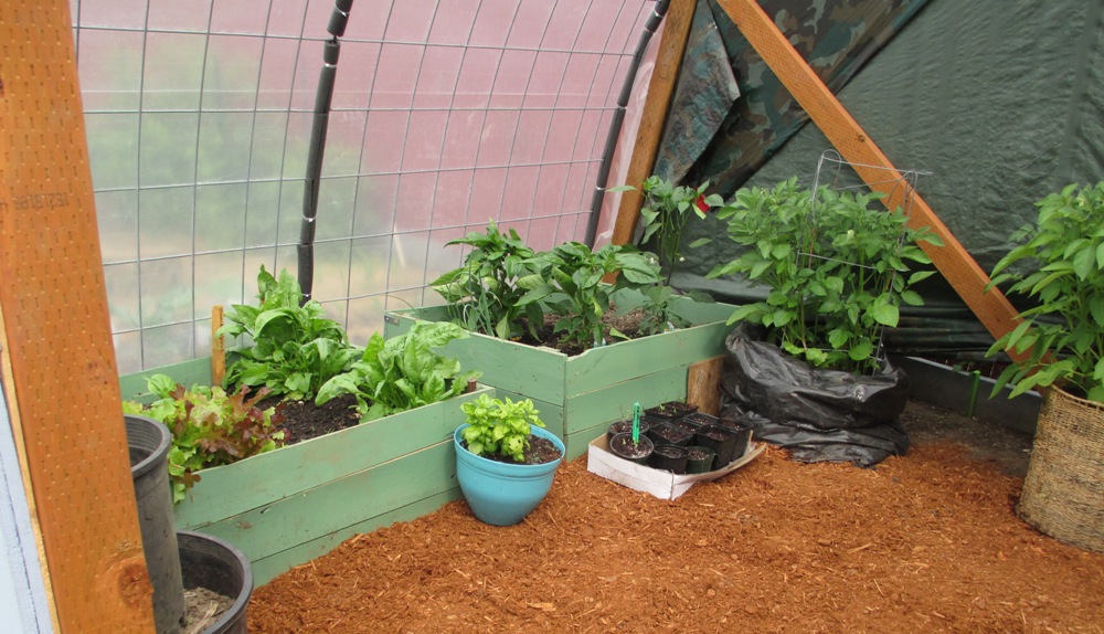 Adding a Hoop House to our Garden – Coxville